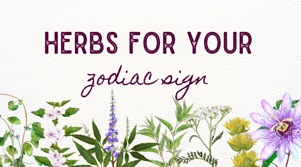 Zodiac Botanicals: Discover Your Herbal Soulmate – WishGarden Herbs