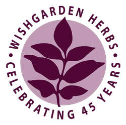 WishGarden Launches 'Meet the Moment' Campaign for Zennials ...